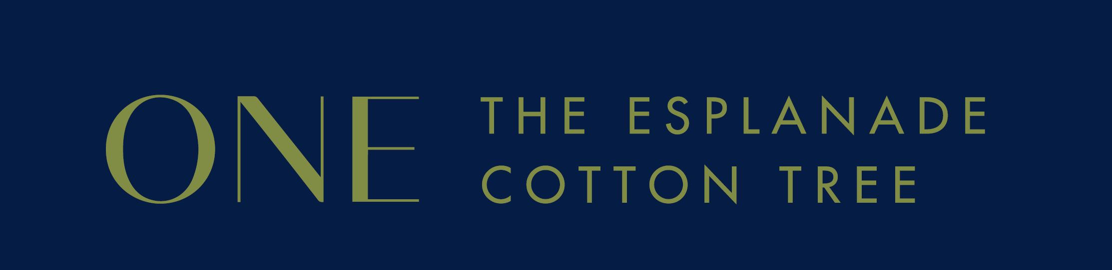 Taiwhanake Youth Academy – Home of Taiwhanake Kapahaka and Taiwhanake Rugby